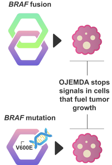 About OJEMDA™ (tovorafenib)